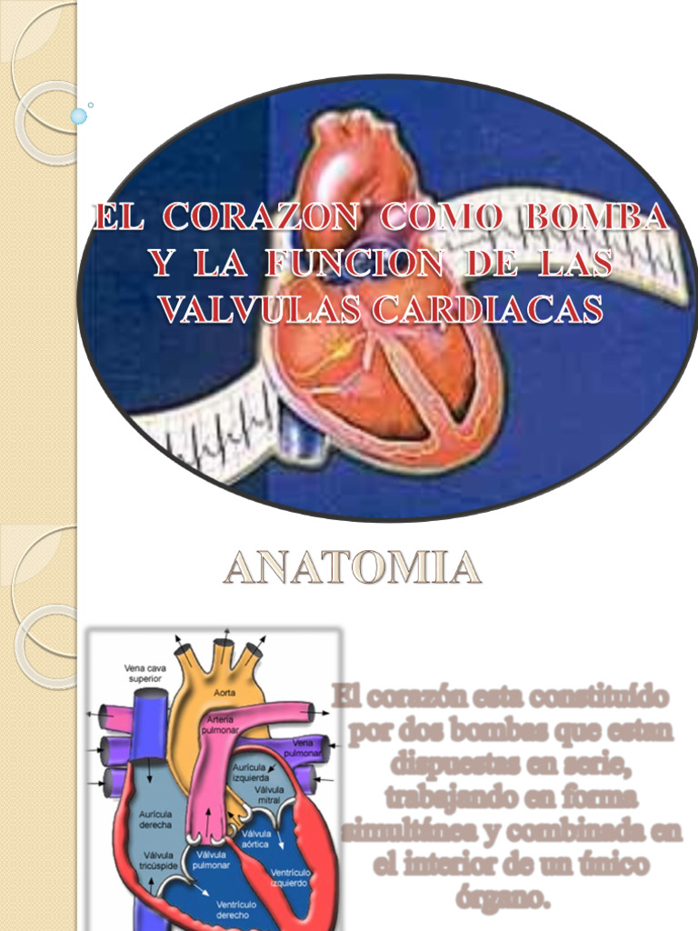 El Corazon Como Bomba | PDF | Corazón | Ventrículo (corazón)