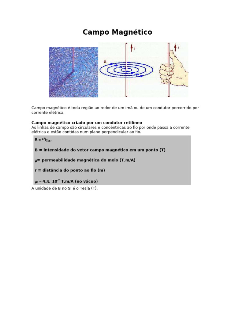 Entendendo o Campo Magnético e Exercícios | PDF