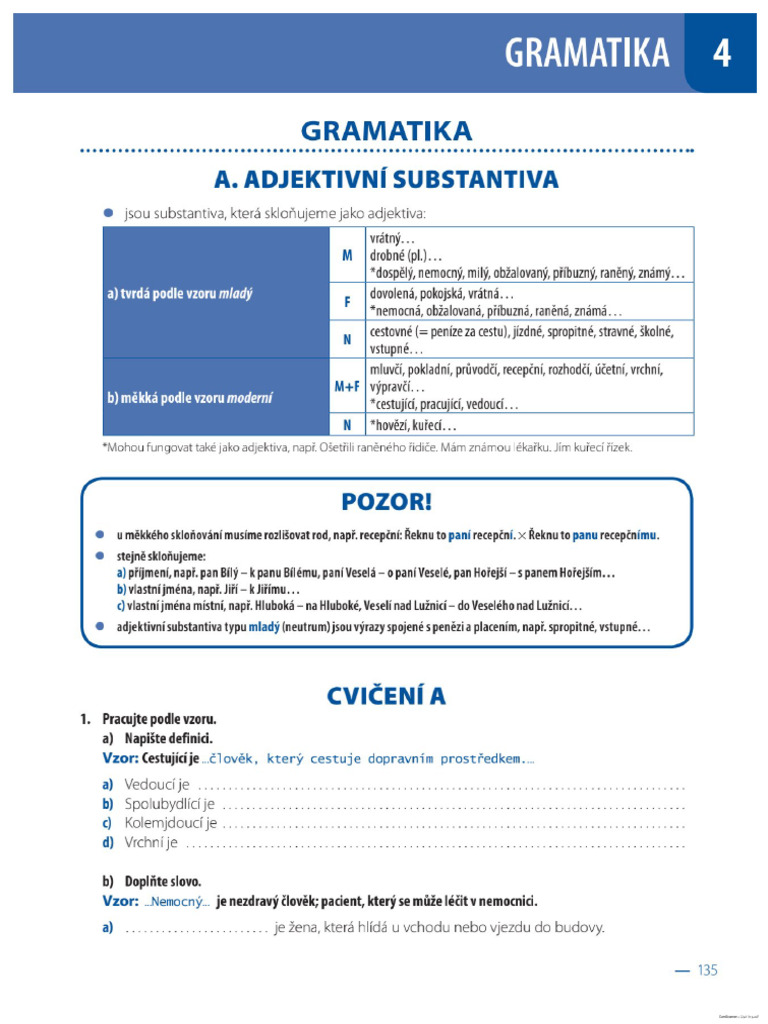 Cestina Pro Cizince b2 (5) 1 | PDF