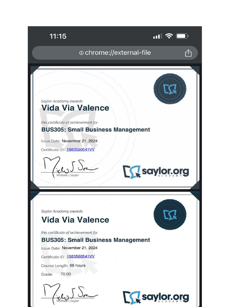 Certificate Entrep VVValence | PDF