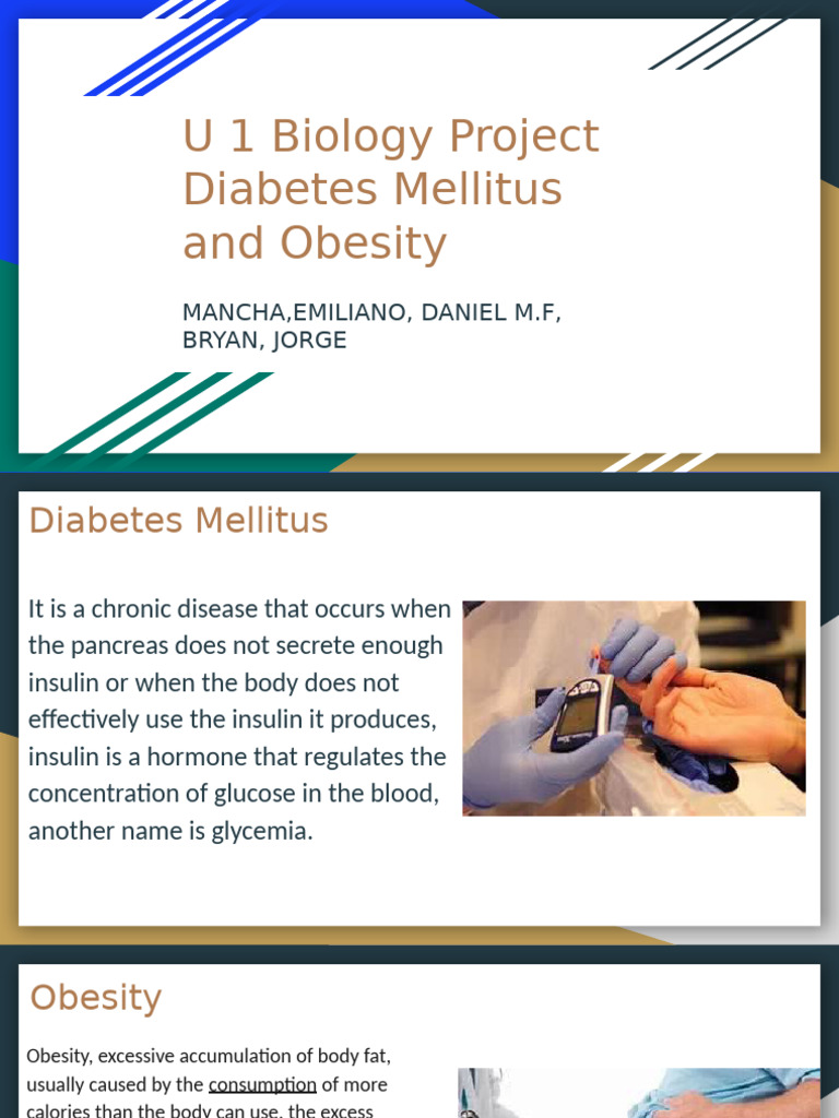 U1 Biology Project Diabetes Mellitus and Obesity | PDF