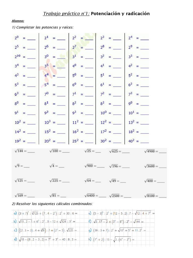 Trabajo Pr-Ctico n-1 | PDF