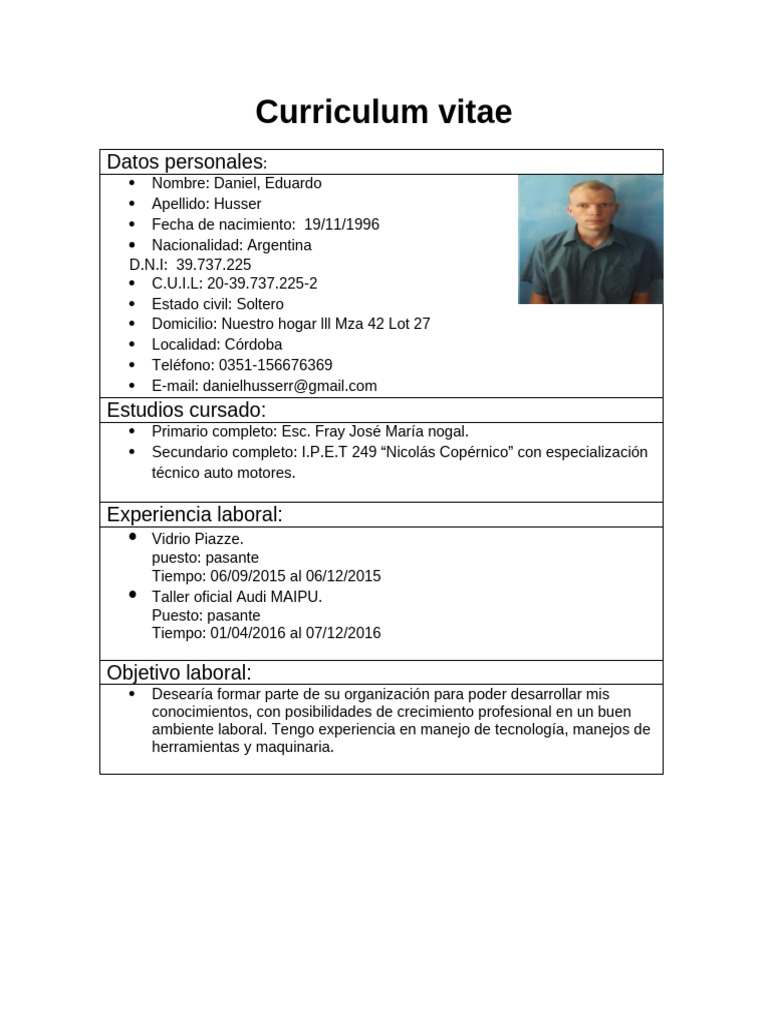 Curriculum Vitae Daniel | PDF
