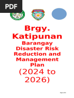 CBDRRM Plan-2025 | PDF
