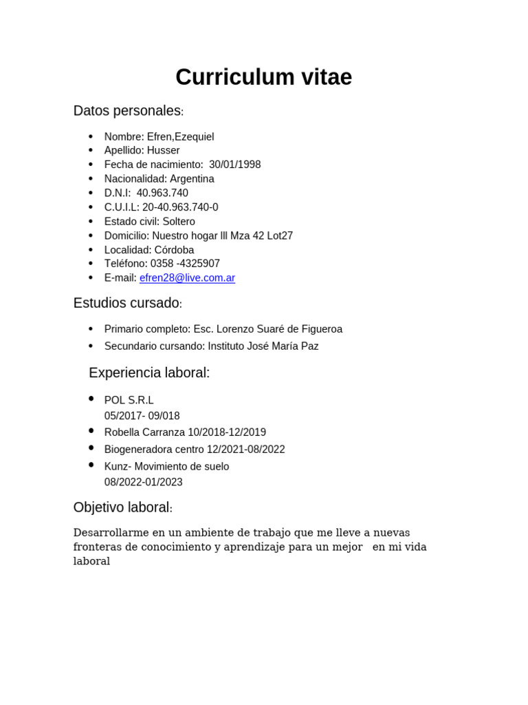 Curriculum Vitae Efren | PDF