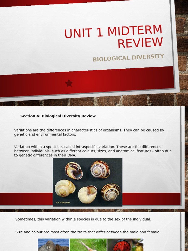 Science 9 Unit 1 Midterm Review | PDF | Dominance (Genetics) | Reproduction