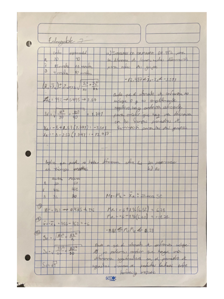 Entregable 7 ProyEs | PDF