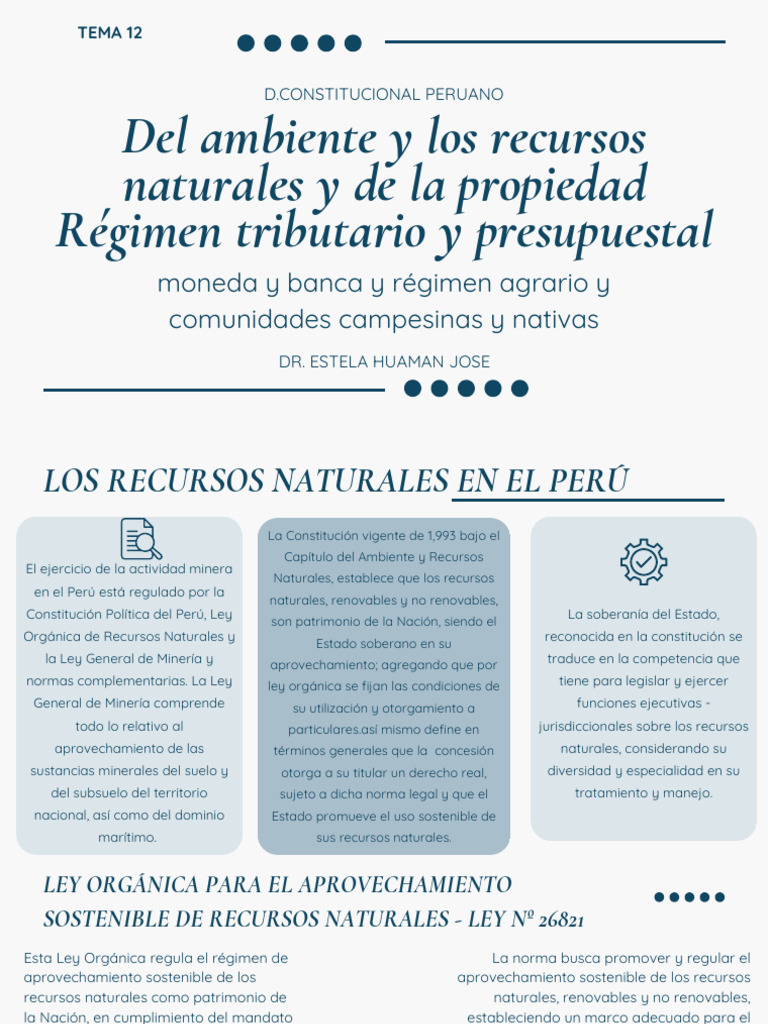Tema 12 - Consti Peruano | PDF | Presupuesto | Presupuesto del gobierno