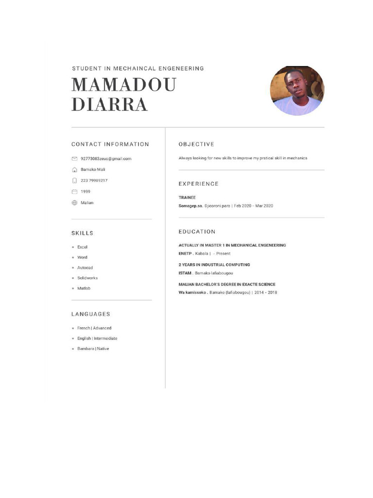 CV en Anglais | PDF