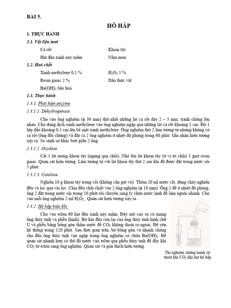 Bai 5. Ho hap | PDF