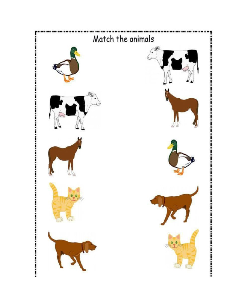 Farm Animals Activity | PDF