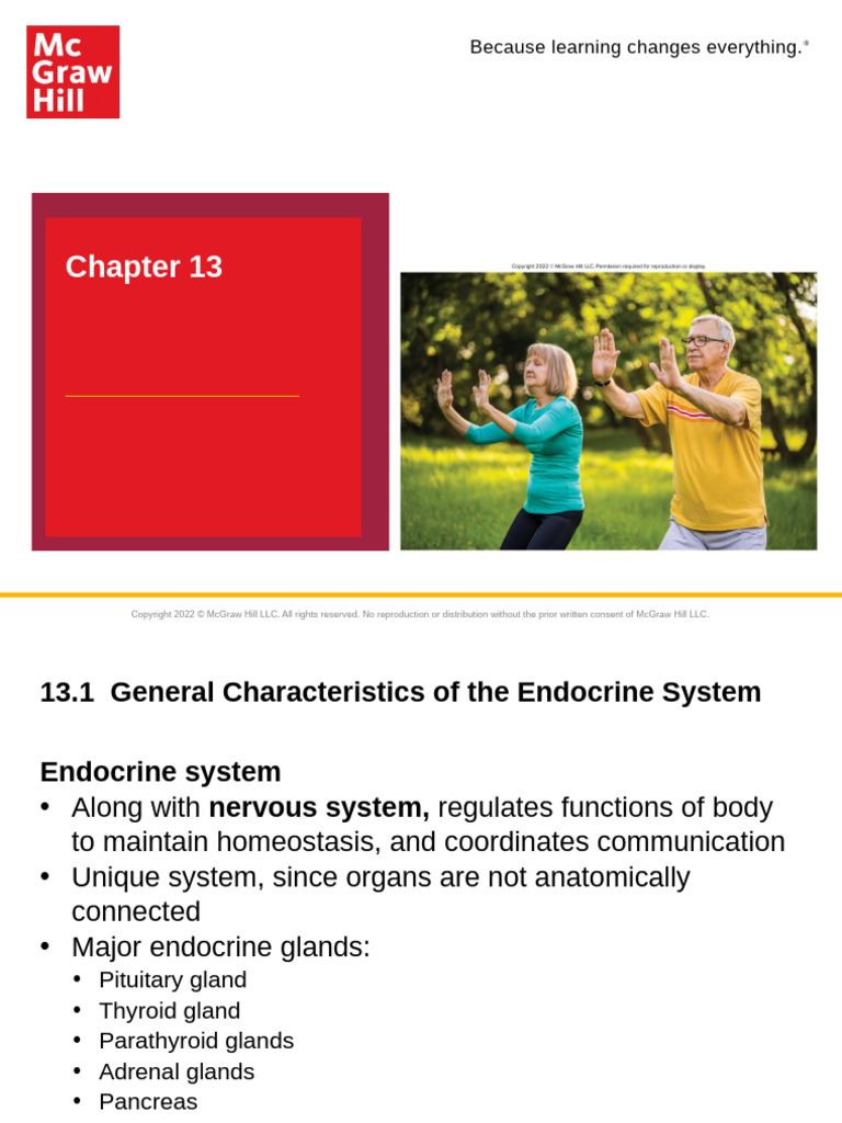 Anatomy | PDF | Adrenal Gland | Pituitary Gland