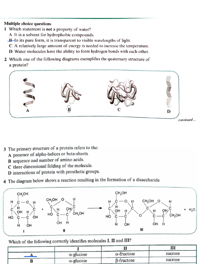 Tutorial Biomolecules | PDF