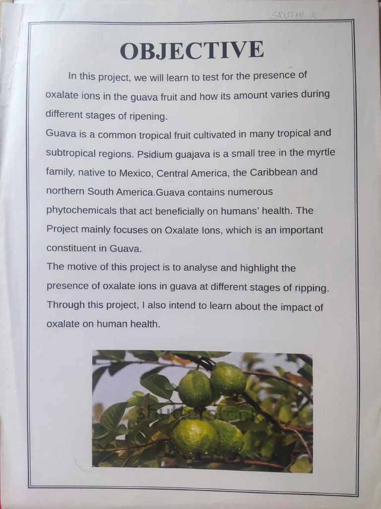 Project. Guava | PDF