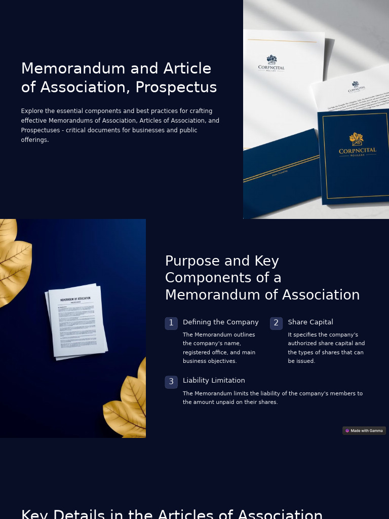 Memorandum and Article of Association Prospectus | PDF | Prospectus ...