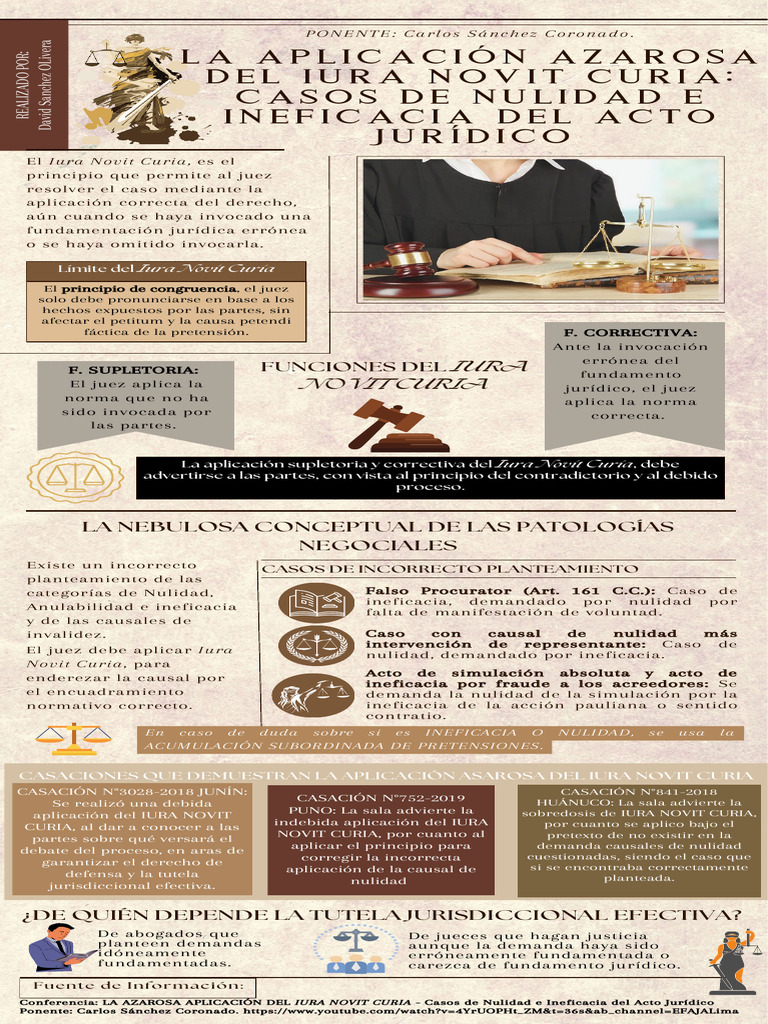 La Aplicación Azarosa Del Iura Novit Curia | PDF | Nulo (ley) | Ley Pública