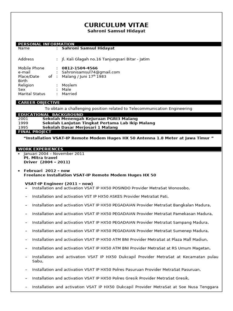 Sahroni CV | PDF | Computing