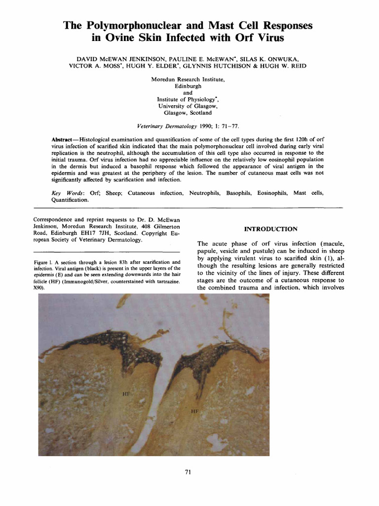 The Polymorphonuclear and Mast Cell Responses in Ovine Skin Infected ...