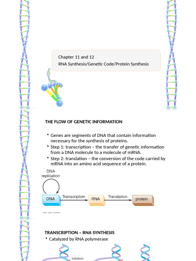 Chapter 11 & 12 RNA Synthesis Genetic Code Protein Synthesis | PDF ...