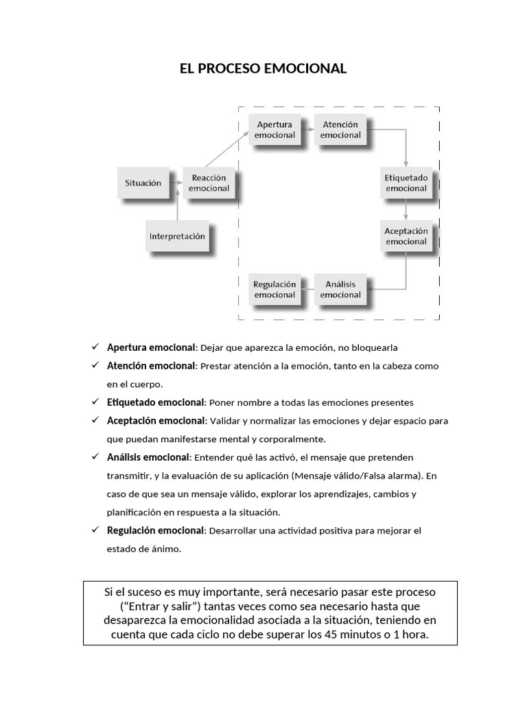 Ficha 4.1.EL PROCESO EMOCIONAL - Completo | PDF