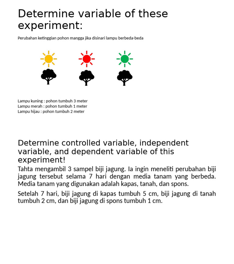 Determine Variable of These Experiment | PDF