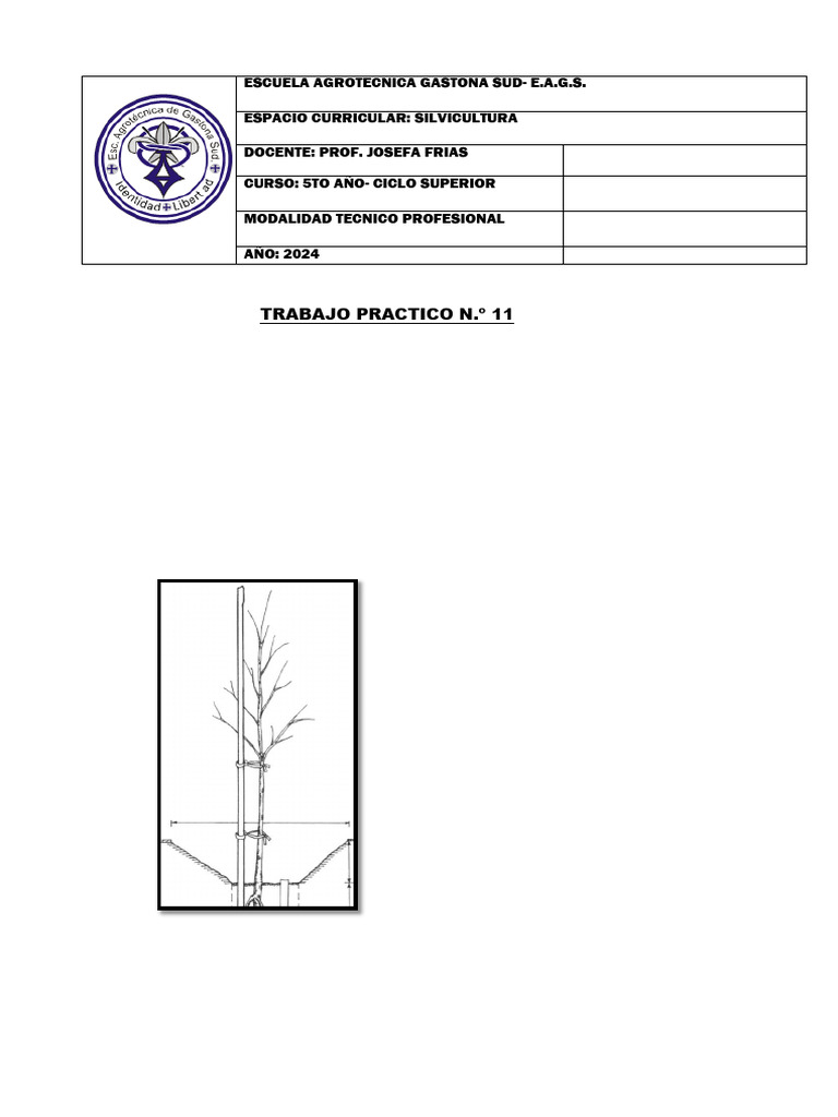 Trab Pract. #11 Silvicultura ... | PDF | Suelo | Arboles