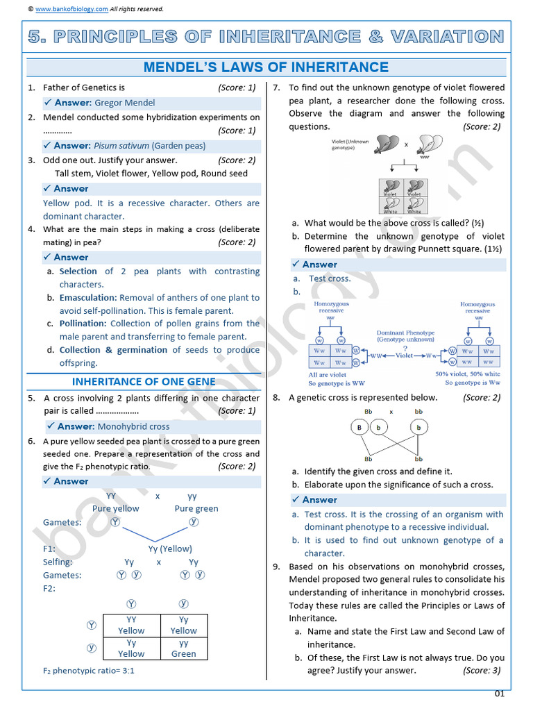 Principles of Inheritance n Variation - Complete Q n A | PDF ...
