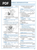 Reproductive System Chapter 16 Key Answer | PDF