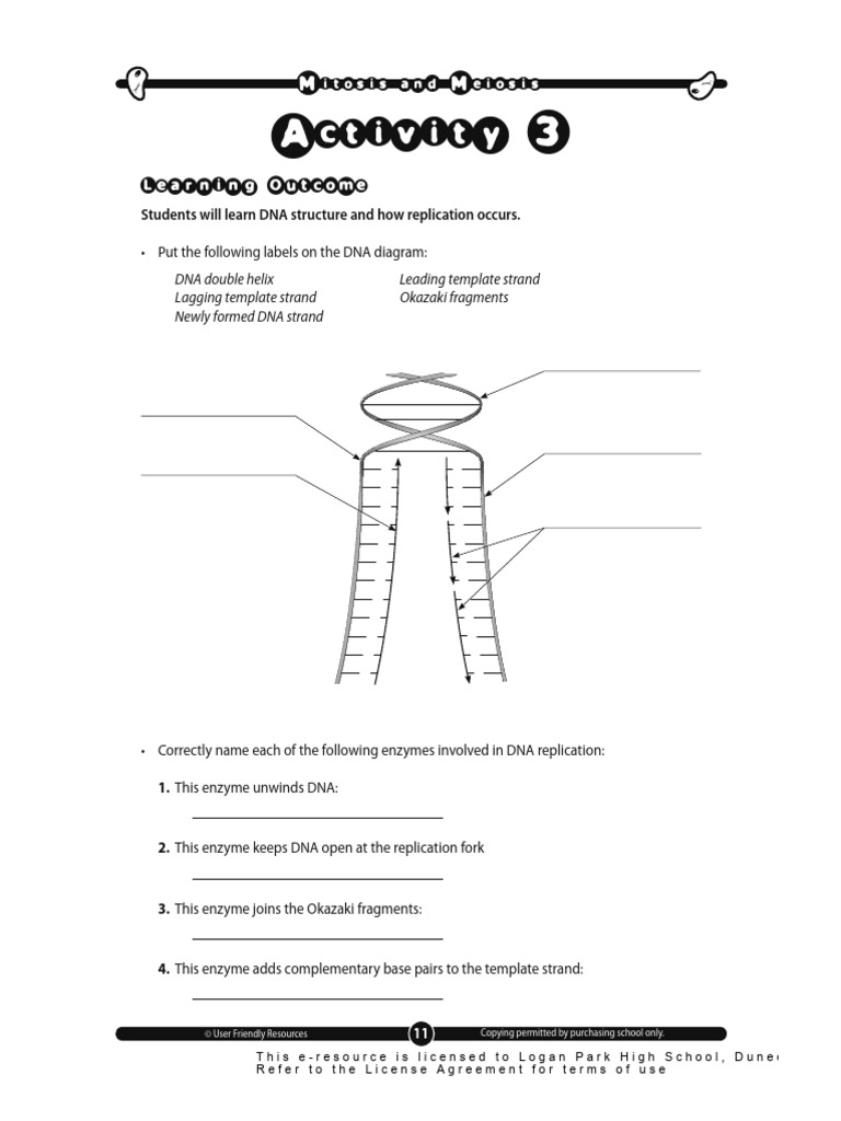 SCI Mitosis Homework Sheet | PDF