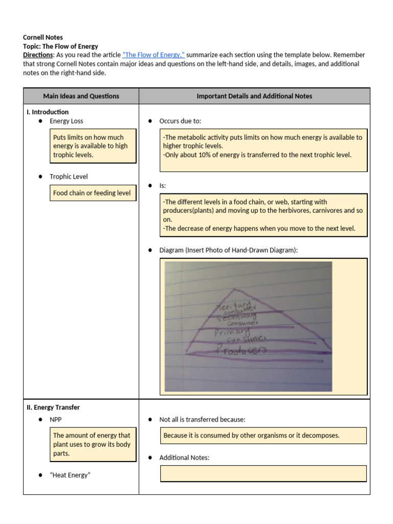 Cornell Notes Template - The Flow of Energy (RL) | PDF | Food Web ...