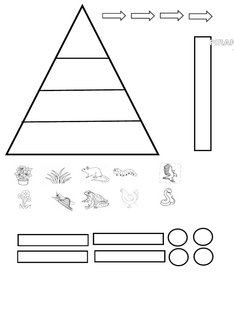 LKPD Piramida Makanan | PDF