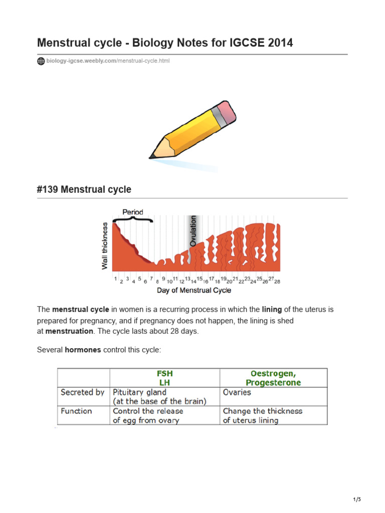 Menstrual Cycle - Biology Notes For IGCSE 2014 | PDF