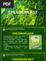 Chloroplast Labelled A Level Diagram | PDF | Chloroplast | Cell (Biology)