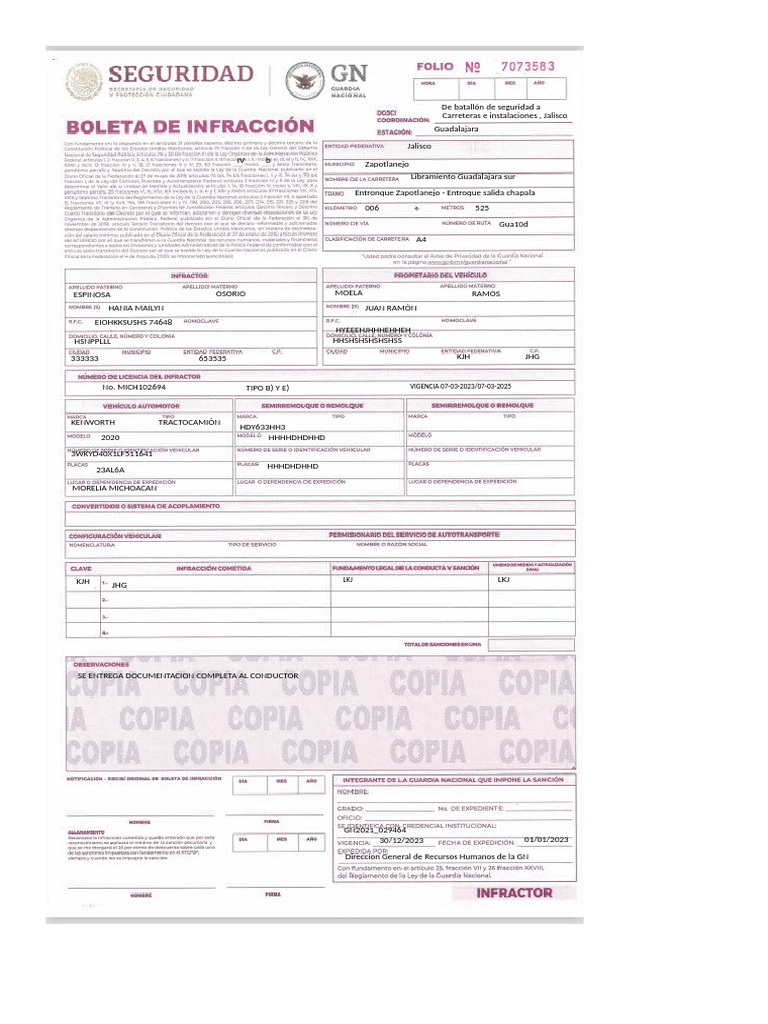 Boleta de Infracciòn | PDF