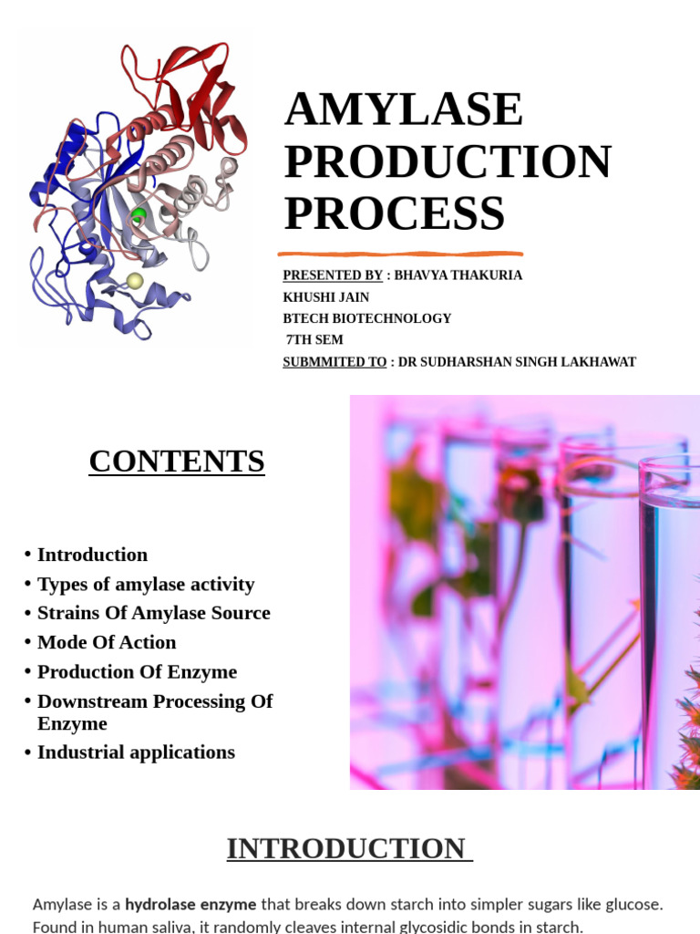 Amylase Production and Processing Overview | PDF | Protein Purification ...