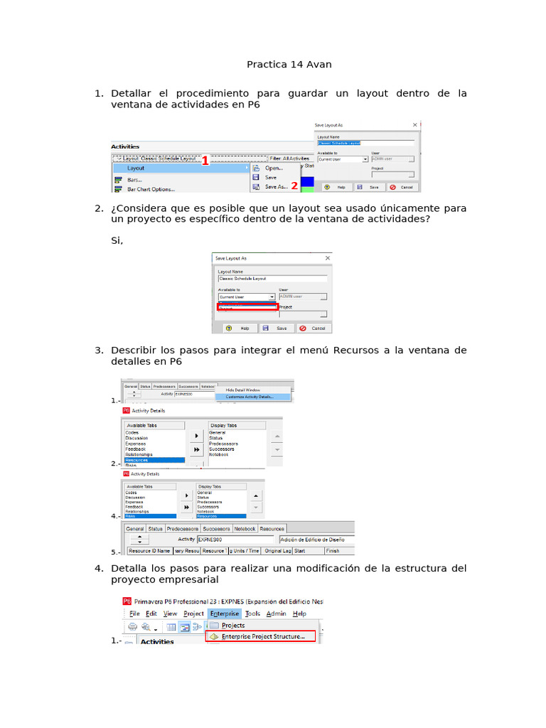 Procedimientos en P6: Layout y WBS | PDF