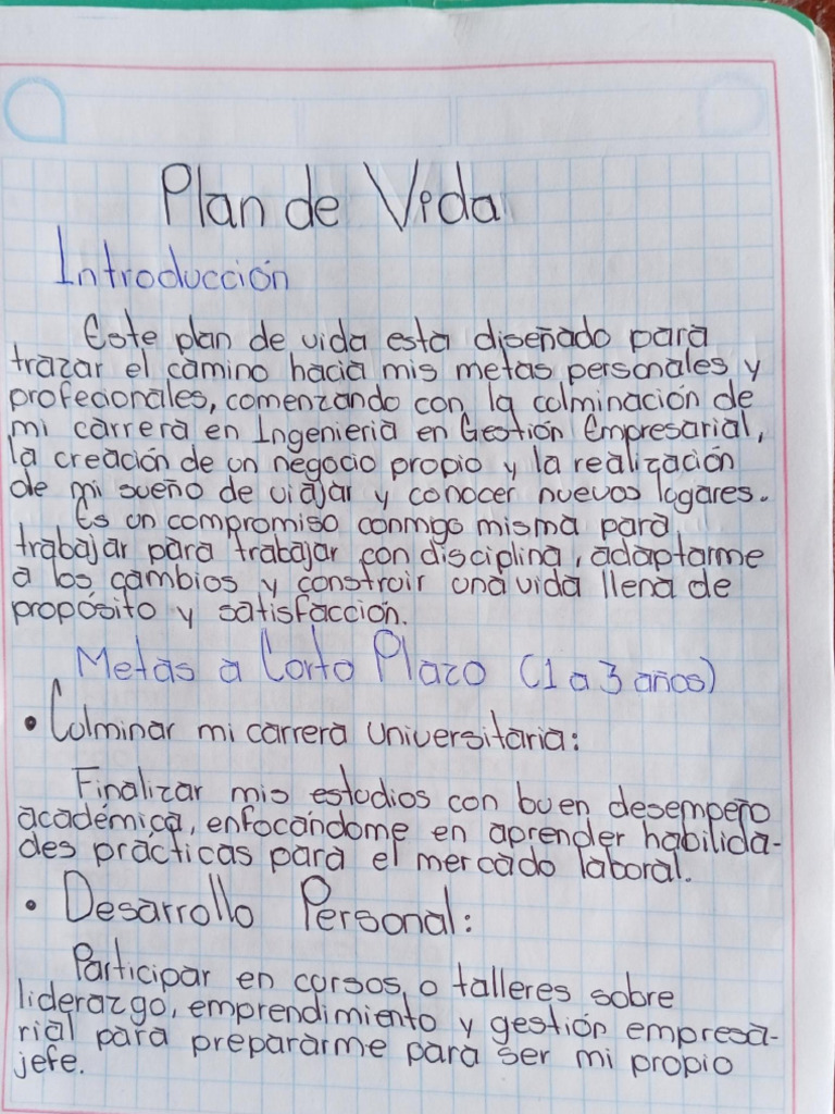 Plan de Vida - Ismari | PDF