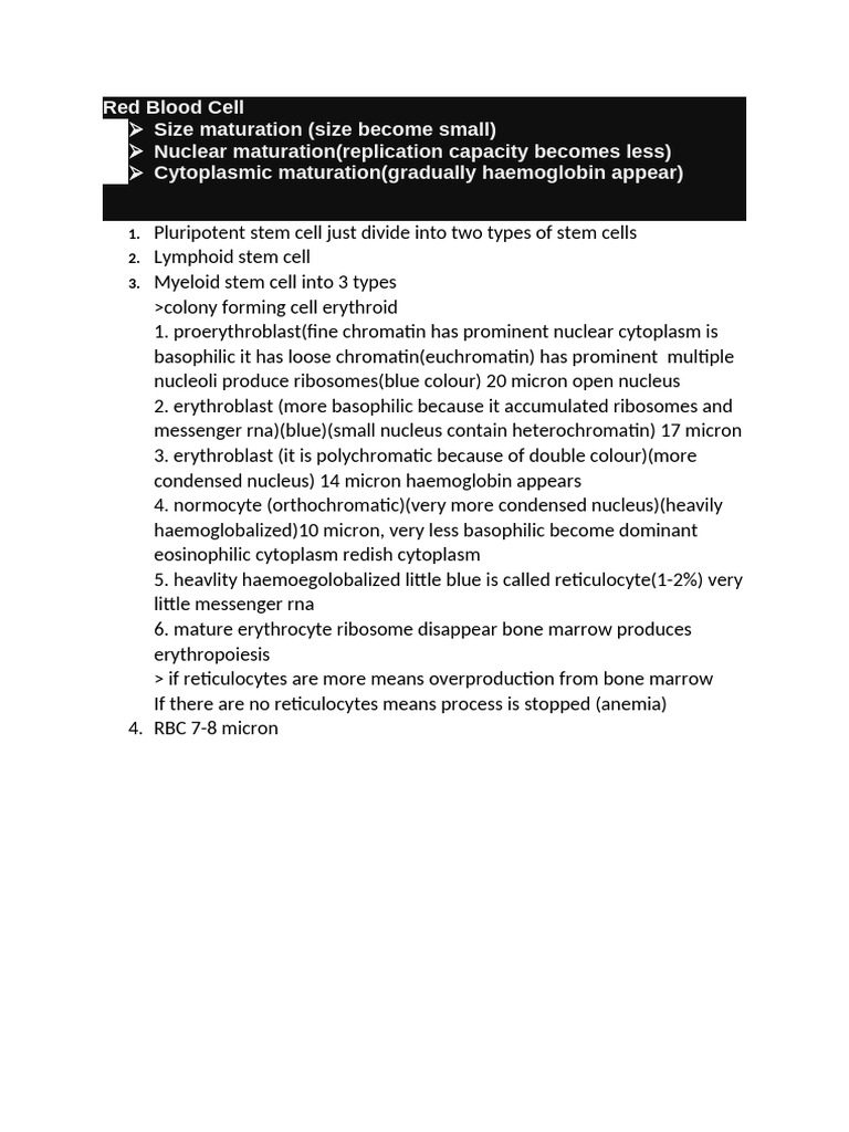 Red Blood Cell Maturation Process | PDF