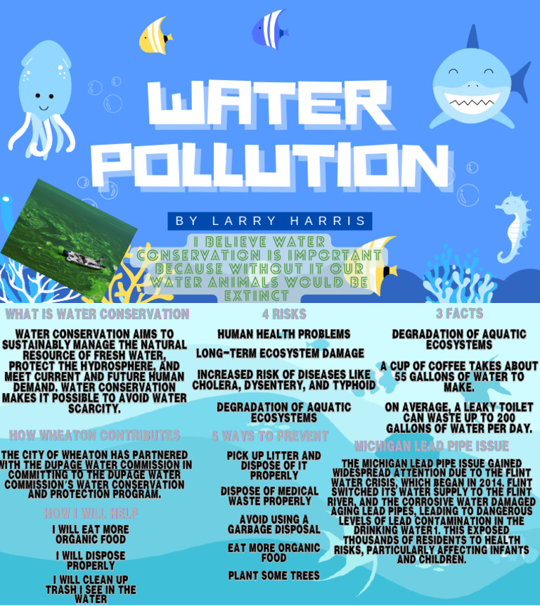 Water Pollution Project | PDF