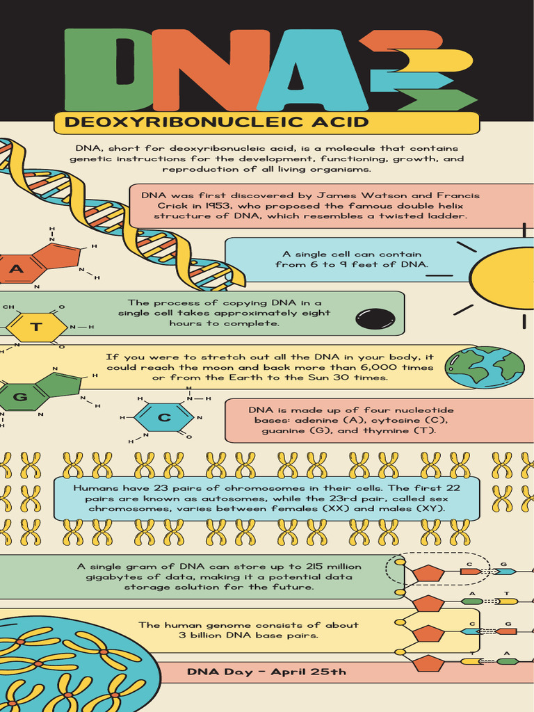 Colorful Illustrative DNA Day Science Educational Infographic PDF | PDF
