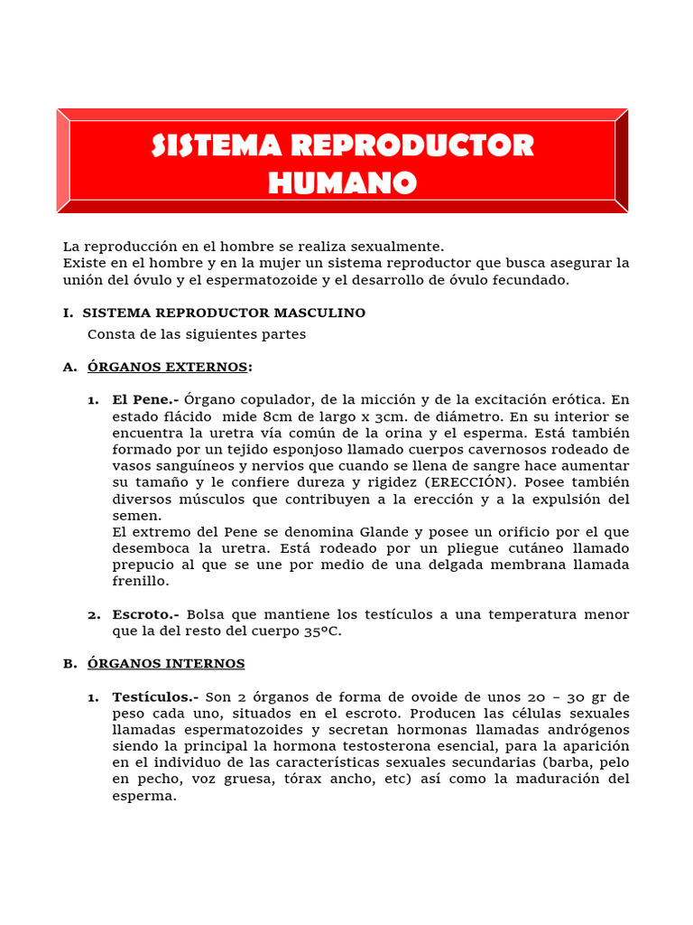 Sexto Aparato Reproductor | PDF | Ciclo menstrual | Sistema reproductivo