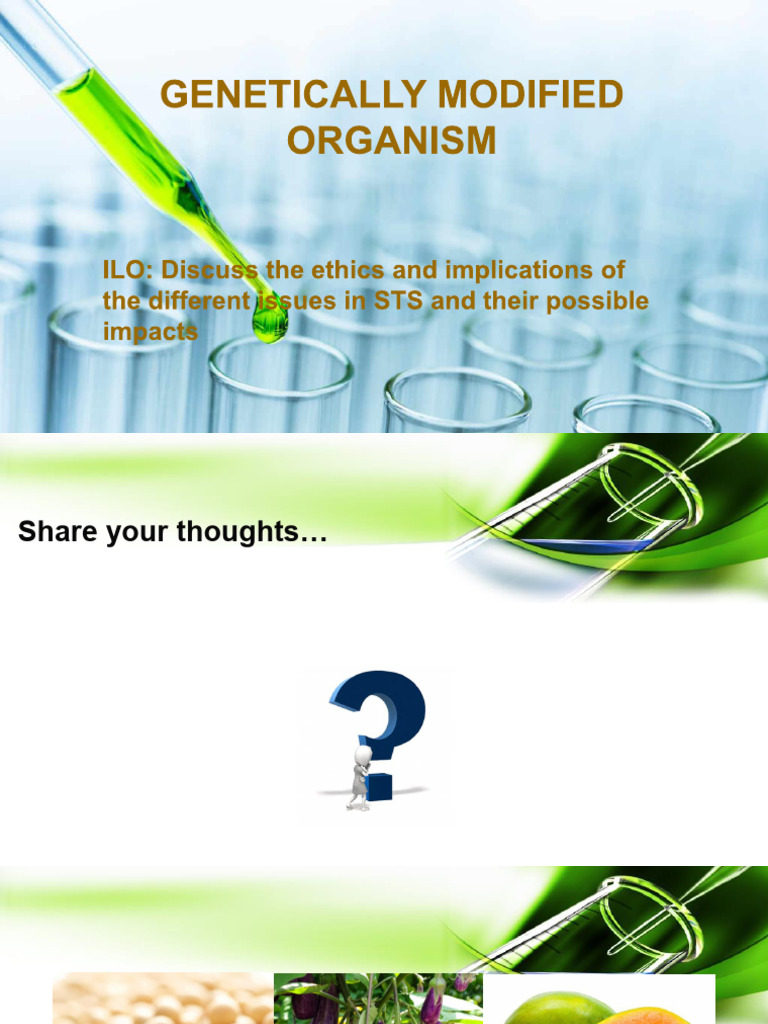 GMO Ethics and Impacts | PDF