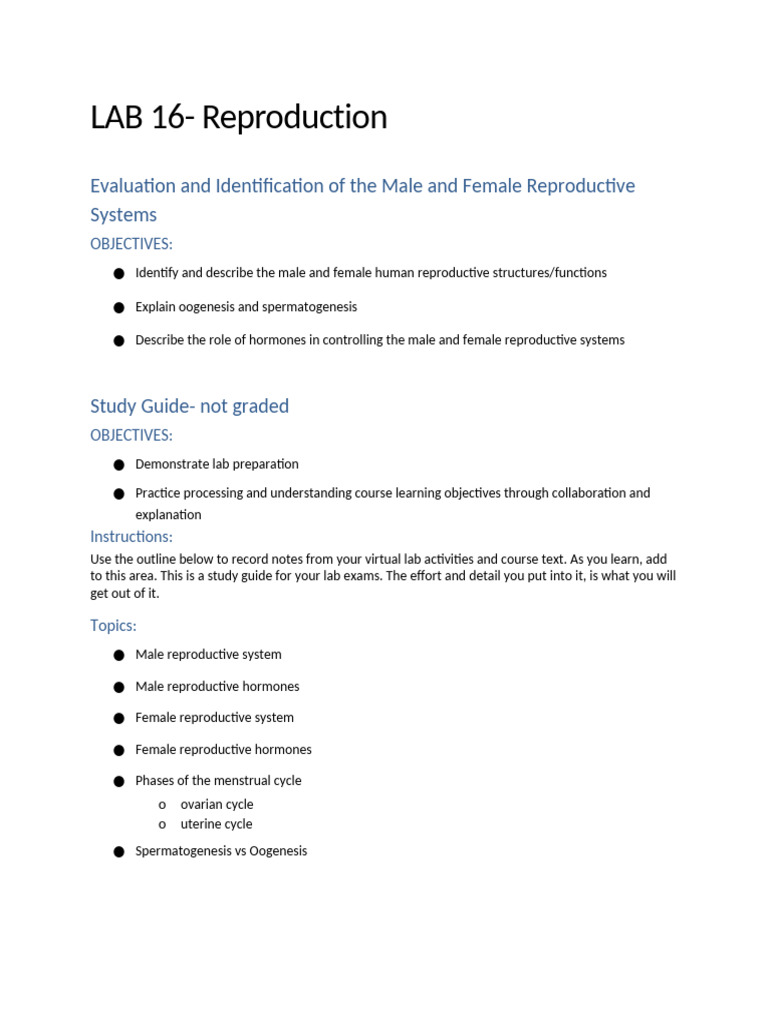 Lab 16 Reproductive System FA24 | PDF | Menstrual Cycle | Testicle