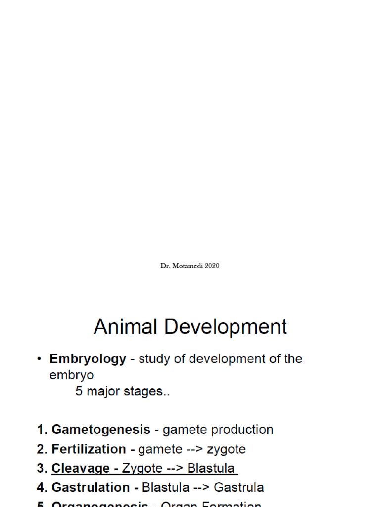 ANIMAL EMBRYOLOGY.m.motamedi. Lecture 4 and 5 | PDF | Embryo | Life ...