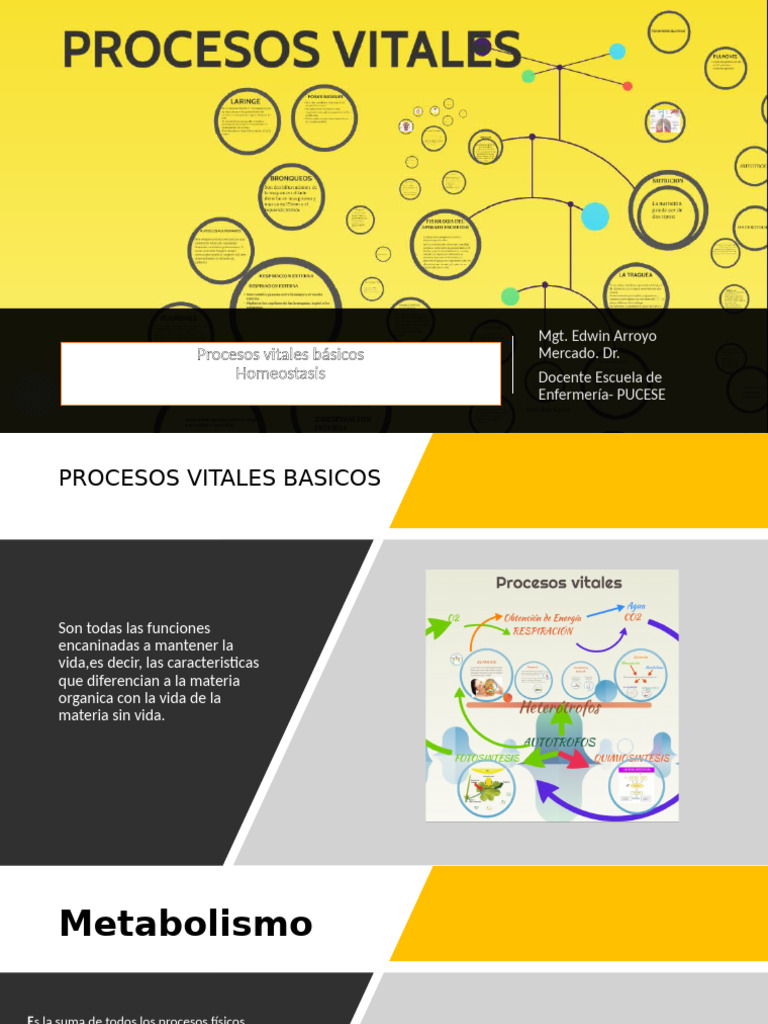 Procesos Vitales Básicos | PDF | Biología Celular) | Homeostasis
