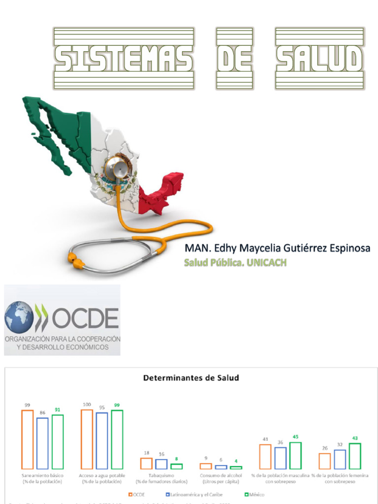 Sistema de Salud | PDF | Sistema de salud