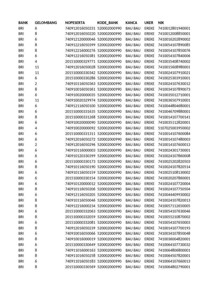 BRI Bank Participant Data List | PDF