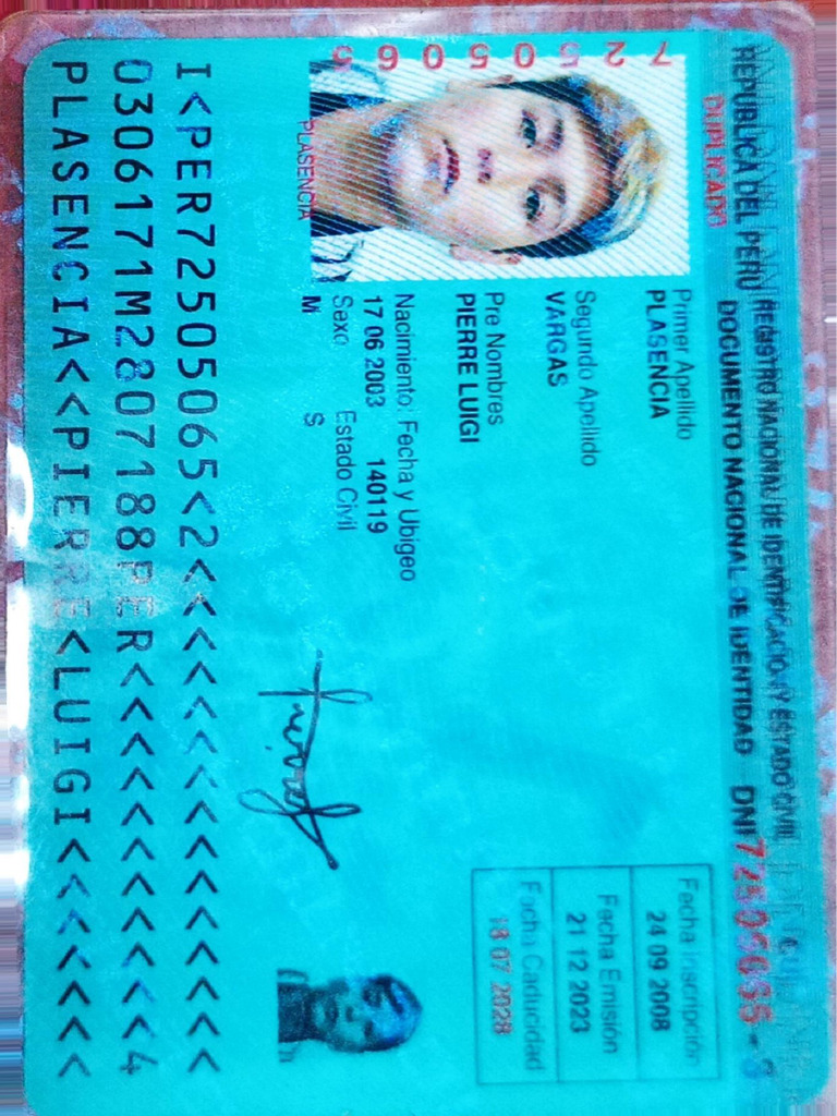 Documento 2 Caras Dni | PDF