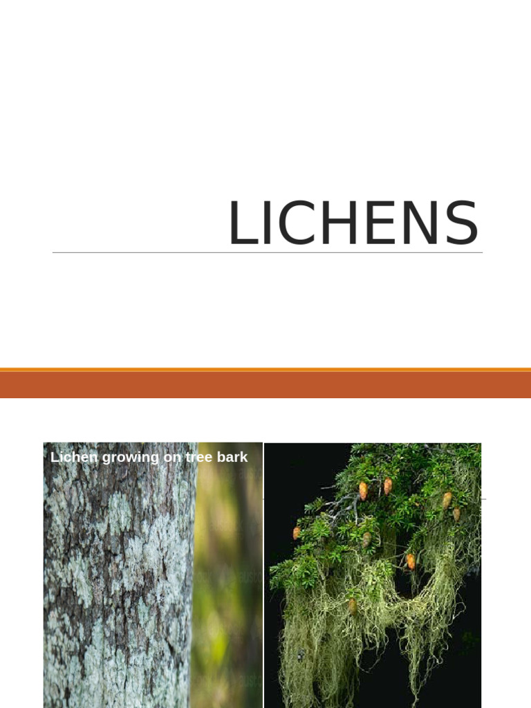 LICHENS_1 | PDF | Organisms | Mycology