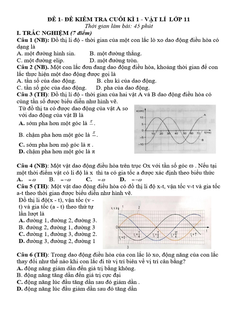 de_cuong_cuoi_ki_1-_k11_f6533 | PDF